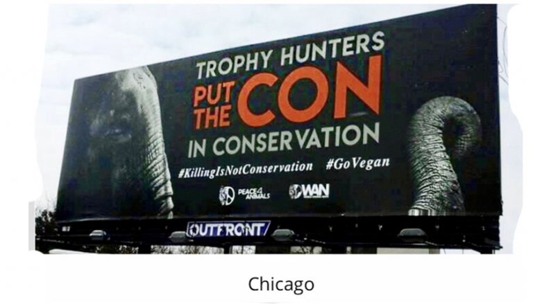 Peace 4 Animals & World Animal News Launch New Billboard Campaign ...