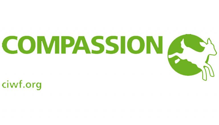 Compassion Holds its First Asia Good Farm Animal Welfare Awards ...