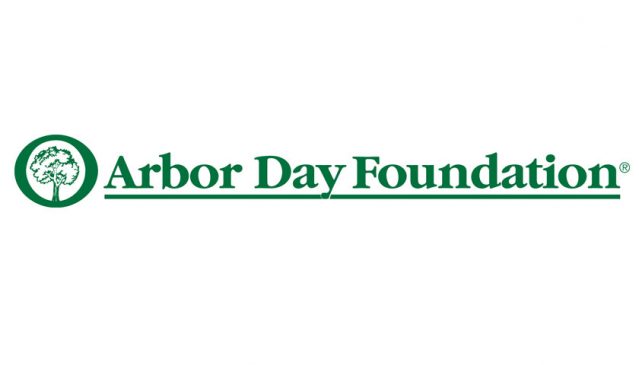 The Arbor Day Foundation Launches the Time for Trees™ Initiative to ...