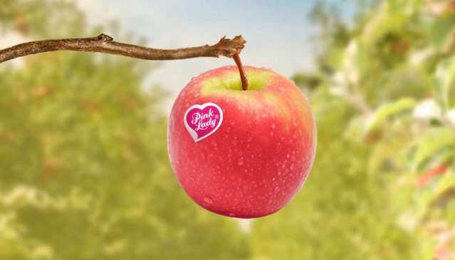 Pink Lady® donates thousands of apples to charities through FareShare ...