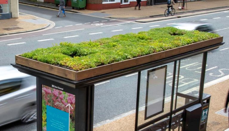 New network of ‘Bee Bus Stops’ springing up in Leicester