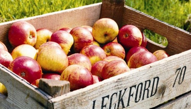 Leckford farm innovation will help accelerate Waitrose’s net zero ambitions