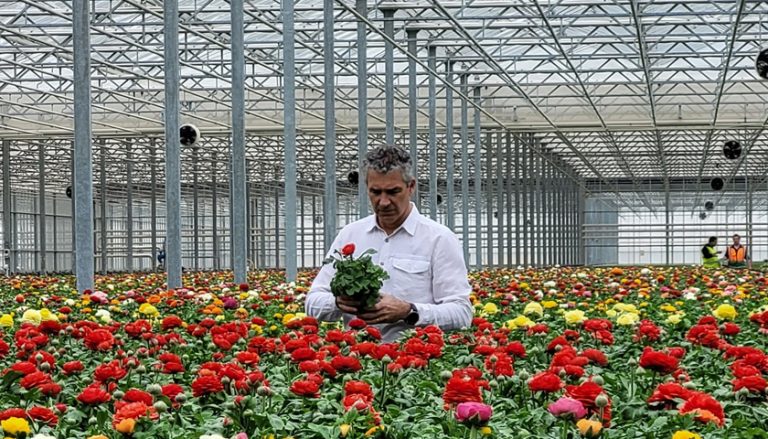 Tesco launches ‘Little Helps to Healthier Living’ campaign | Ethical ...