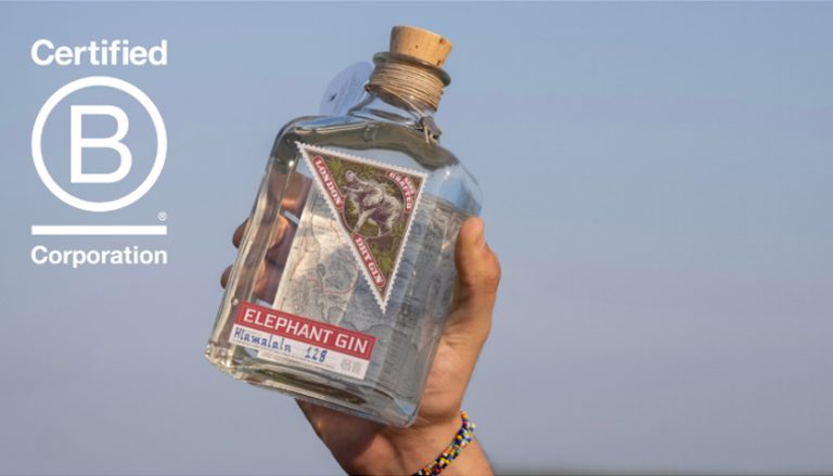 Elephant Gin announce B Corp Status along with 1m raised for African ...