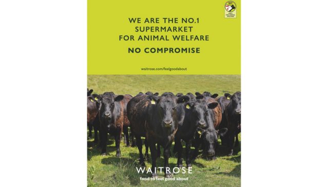 Waitrose says ‘no compromise’ on animal welfare in latest ad campaign ...